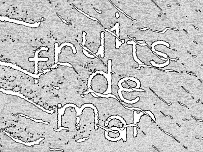 Exhibition 'Fruits de Mar' of MA Artistic Research @Nest